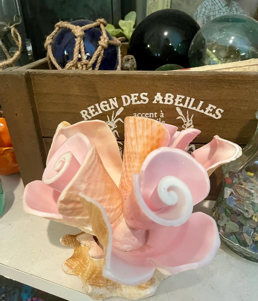 Vintage Conch Shell Flower Bouquet - Etsy