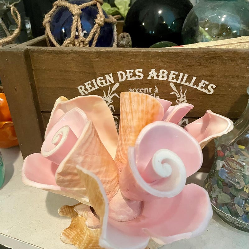 Shell Bouquet - Etsy