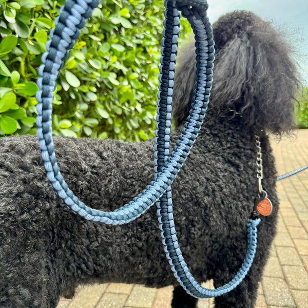 Paracord Dog Leash - Etsy