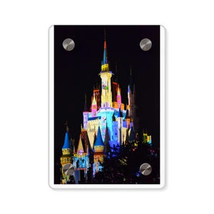 Disney Castle Acrylic Wall Art Panel, Magical Home Decor, Kids Room ...