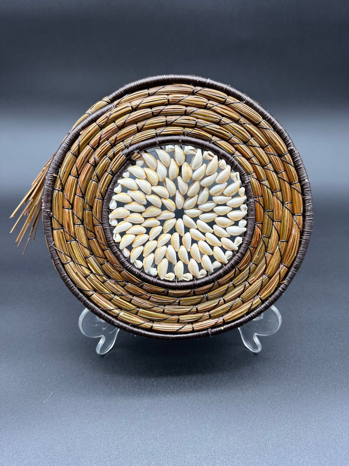 Cowrie Shell Pine Needle Basket | Natural | Shell | Southwest | Gift ...