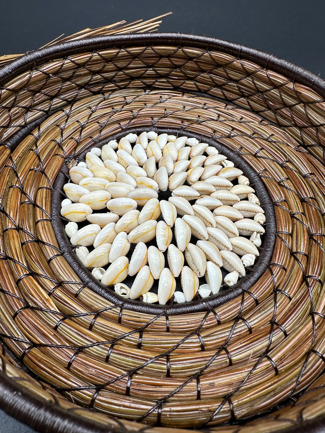 Cowrie Shell Pine Needle Basket | Natural | Shell | Southwest | Gift ...