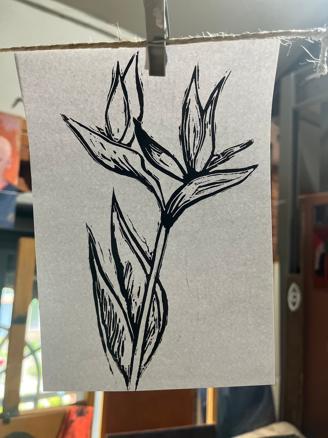 Strelitzia Print - Etsy