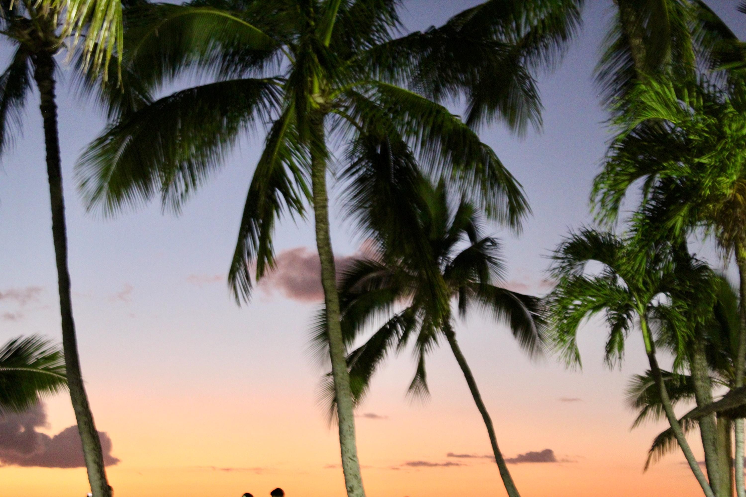 Breathtaking Beach Sunset at Paradise Cove (digital Downloads) - Etsy