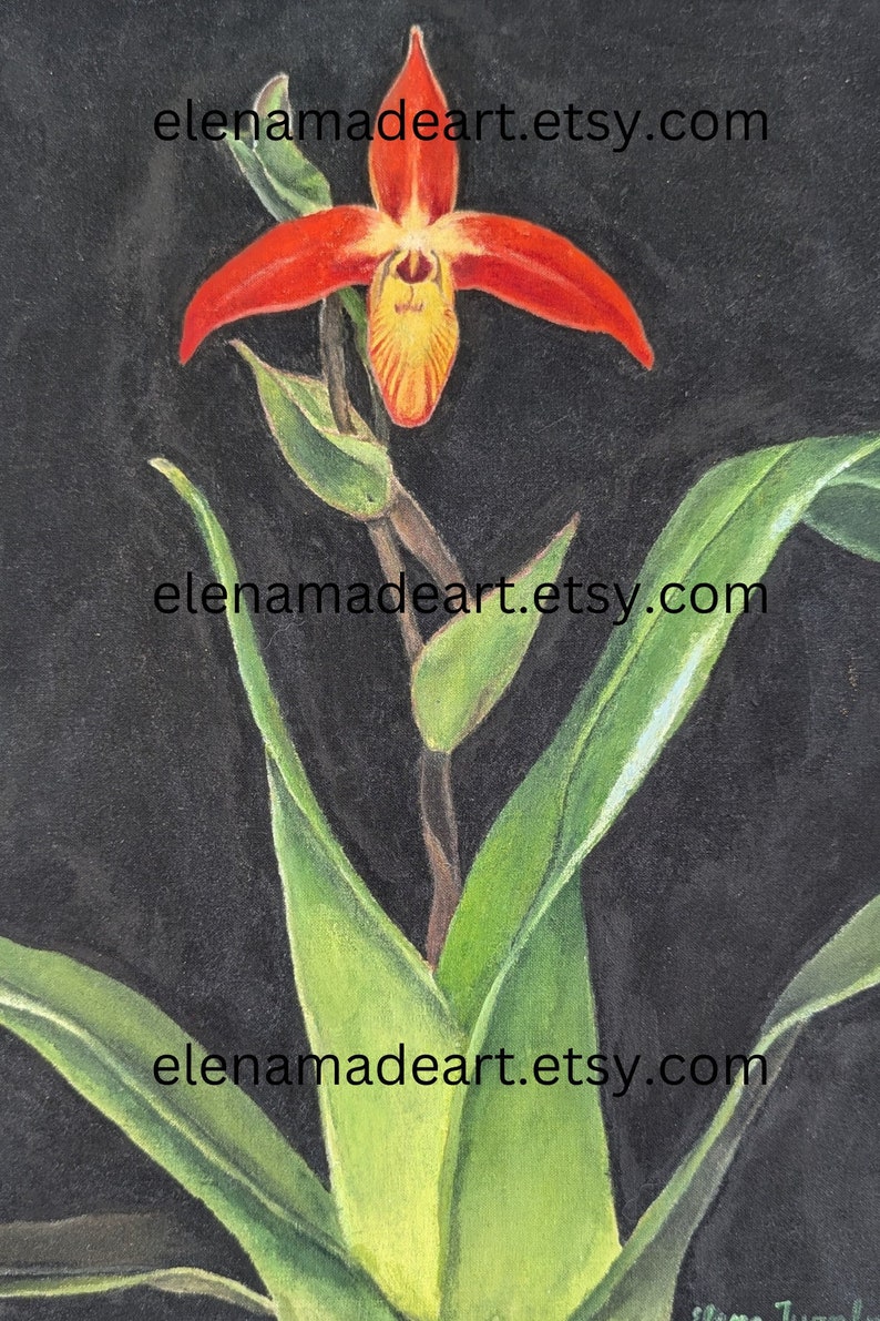 The Orchid Painting by Artist, Digital Download Print for Gallery Wall ...