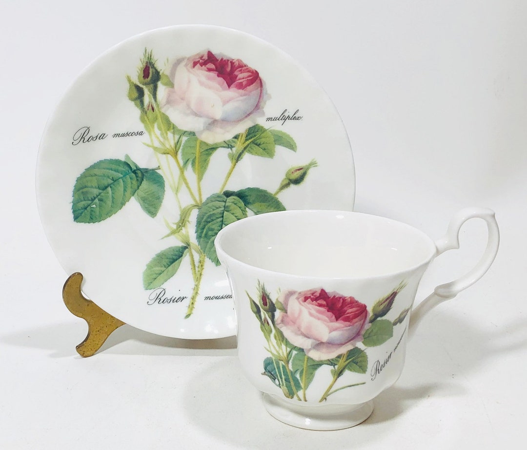 Vintage "redoute Roses" Teacup and Saucer, Gorgeous Pink Roses, by Roy ...