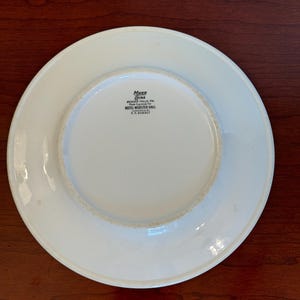 Rare 1920's Mayer China Plate for Hotel Webster Hall Pittsburg, PA - Etsy
