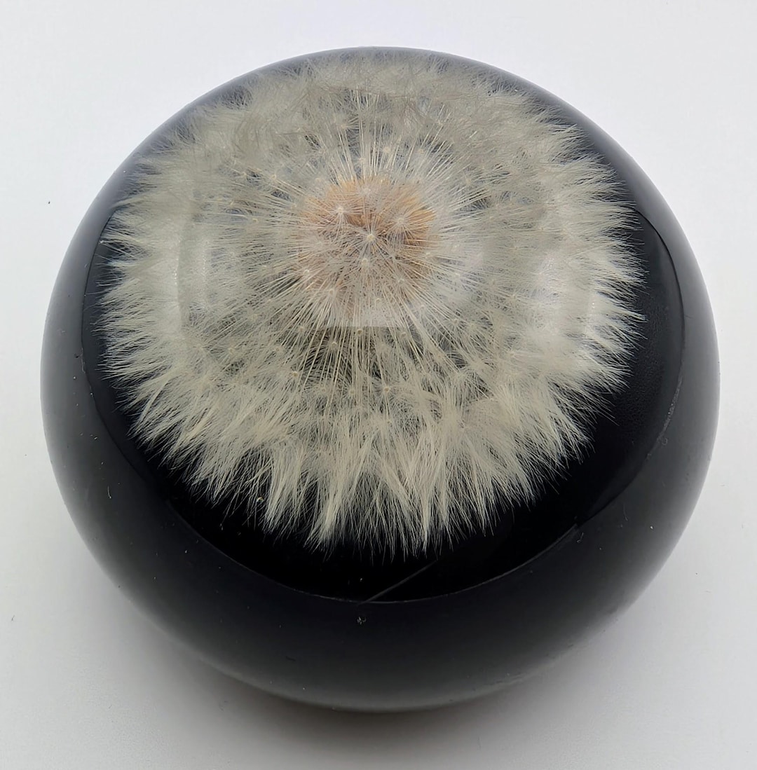 Vintage Encapsulated Dandelion Paperweight – Real Dandelion Resin ...