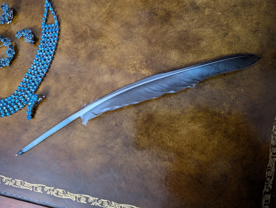 Handcrafted Goose Feather Quill Pen Set of 2 – Noble & Humble Duo With ...