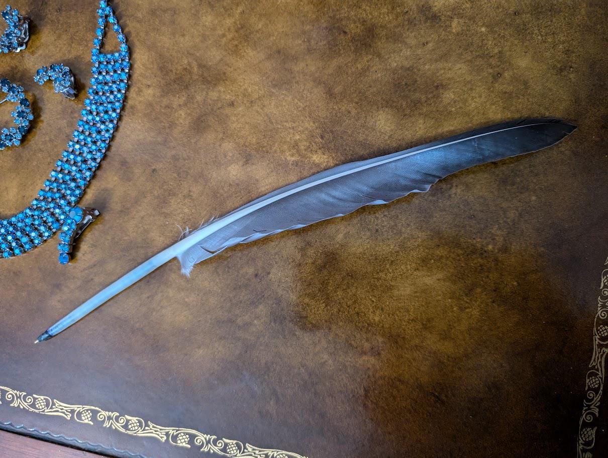 Handcrafted Goose Feather Quill Pen Set – Noble & Humble Duo - Etsy