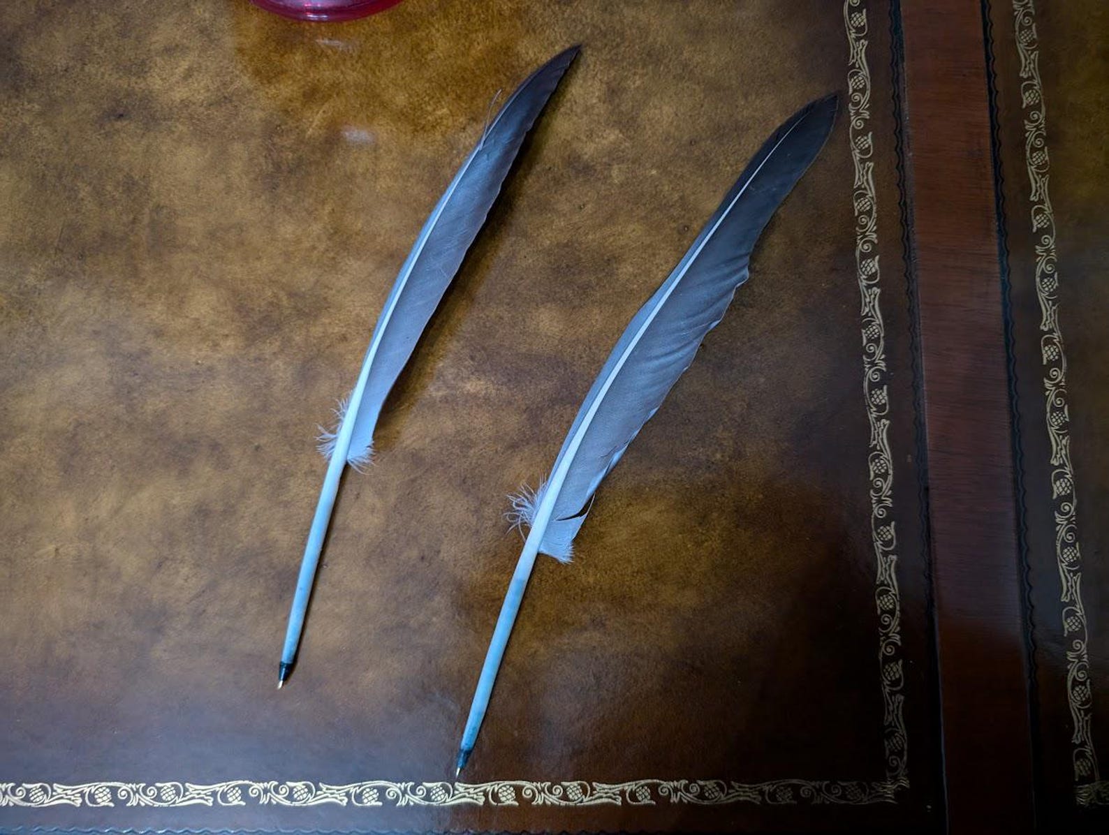 Handcrafted Goose Feather Quill Pen Set – Noble & Humble Duo - Etsy