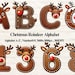 Christmas Reindeer Alphabet Clipart: Festive Letters & Numbers (PNG ...