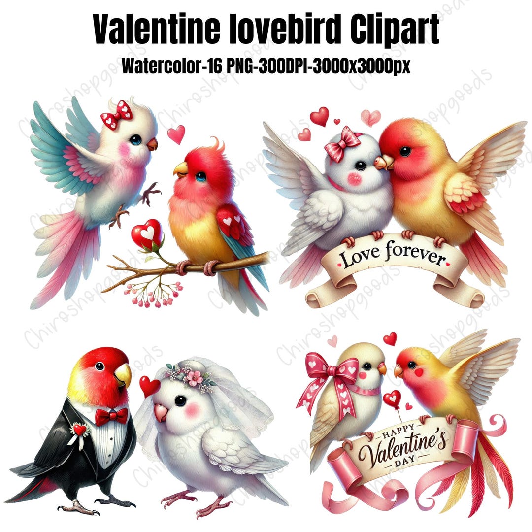 Valentine Lovebird Clipart Set,wedding , Watercolor Love Birds ...