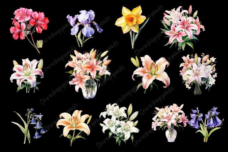 Watercolor Floral Clipart Bundle for Decoration, 62 PNG Flowers, Spring ...
