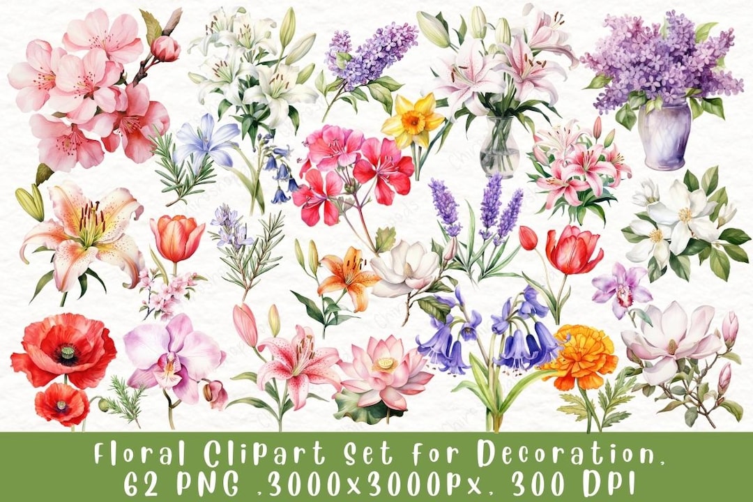 Watercolor Floral Clipart Bundle for Decoration, 62 PNG Flowers, Spring ...