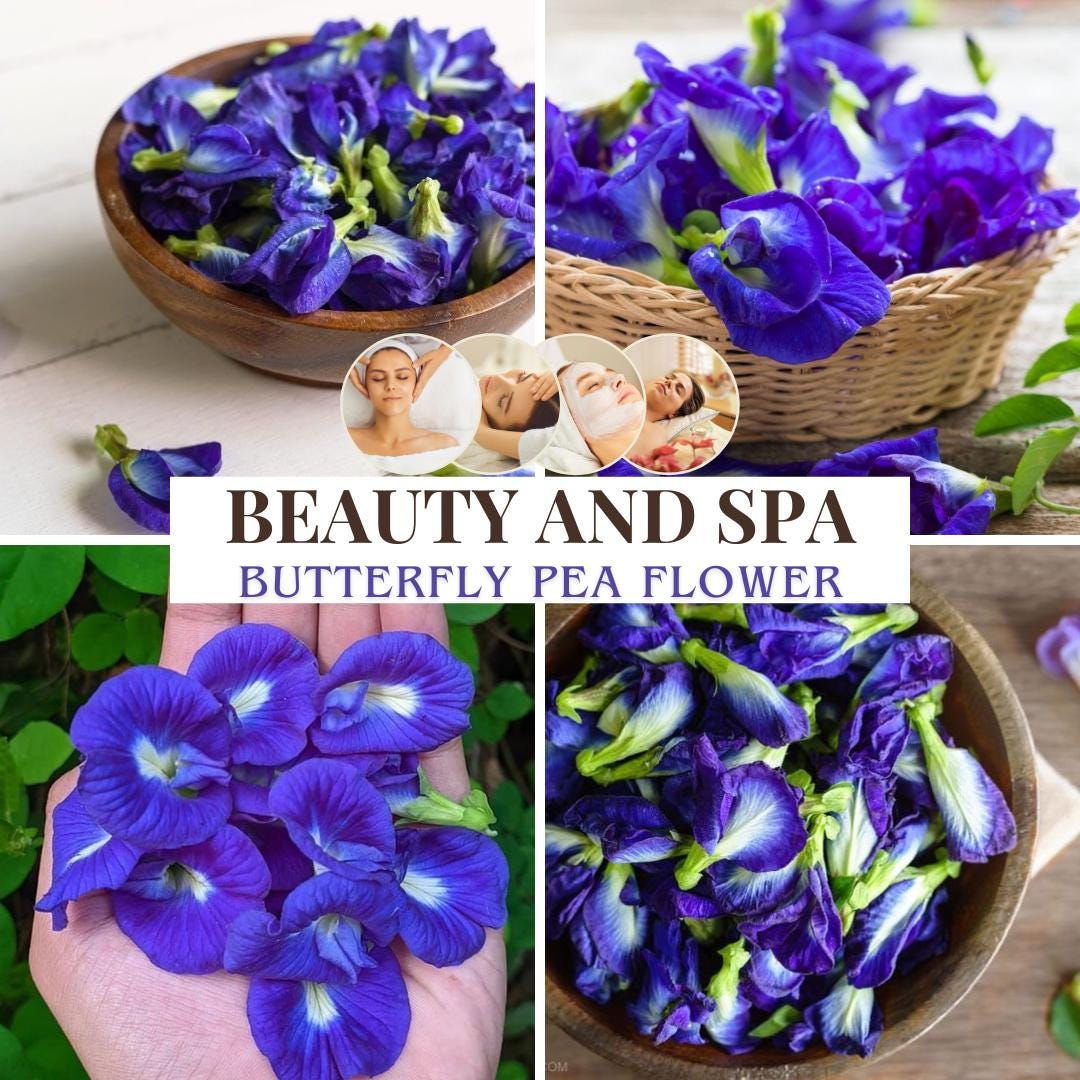 500g Dried Butterfly Pea Flowers - Perfect for Spa Therapies and ...