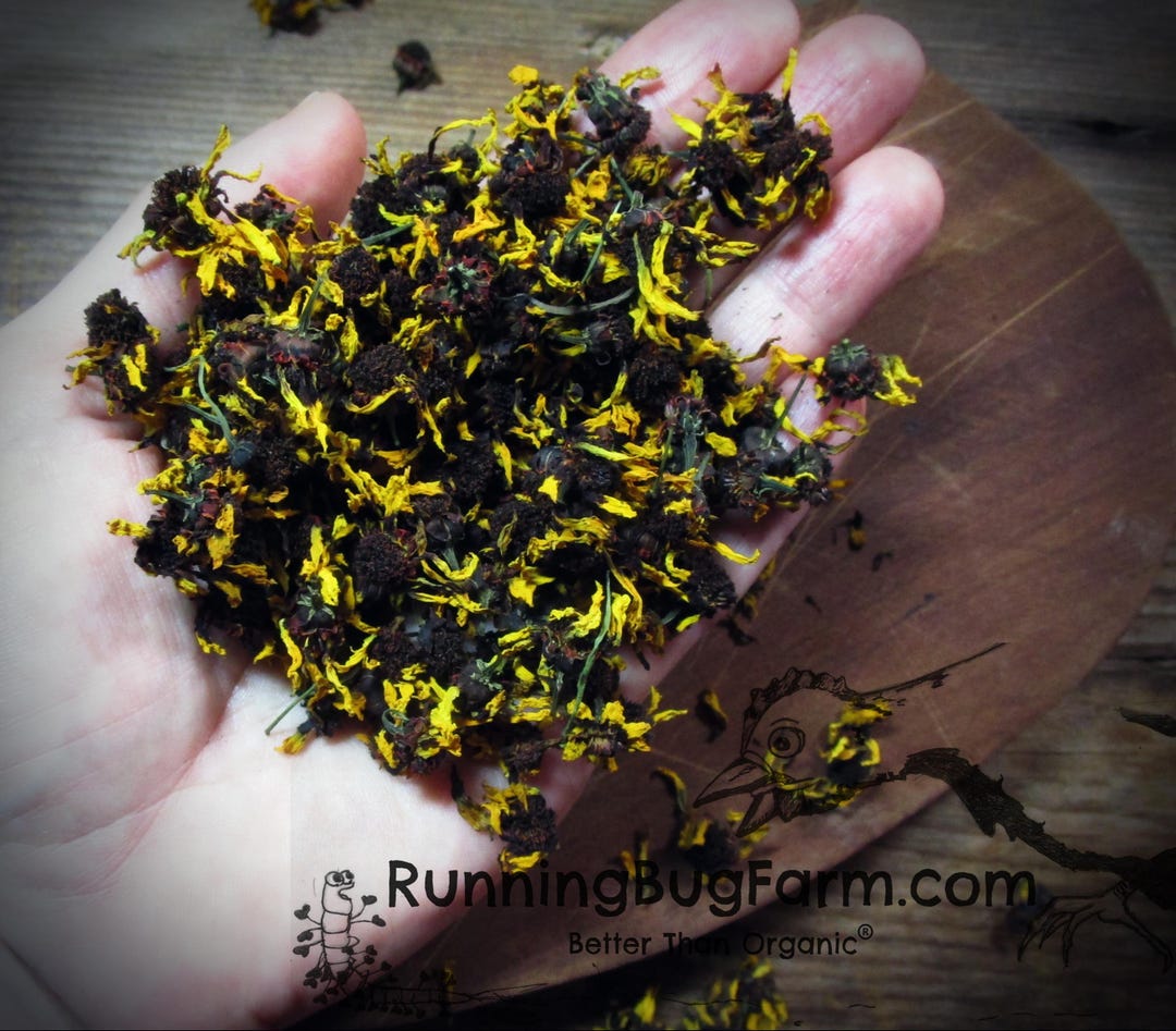 Dried Dyers Coreopsis Flower Blossoms for Immersion Bath Dying, Eco ...