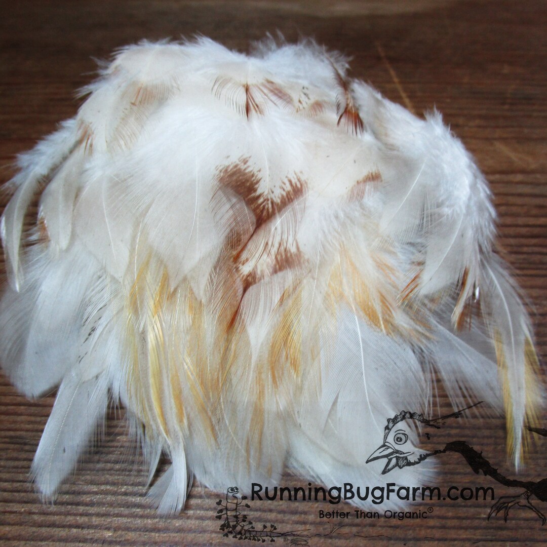 Cruelty Free Bulk White Blond Red Rooster Feather Assortment Fluffy ...