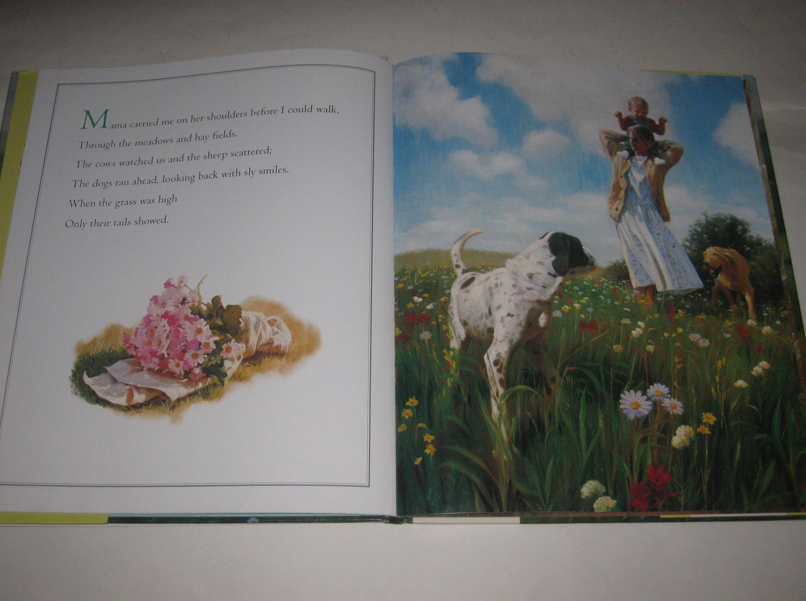 All the Places to Love Patricia Maclachlan HB/DJ 1994 Vintage - Etsy