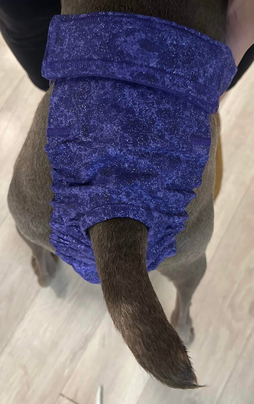 A1 Paradise Panties, T-back Style Seasonal Britches for Female Dogs ...