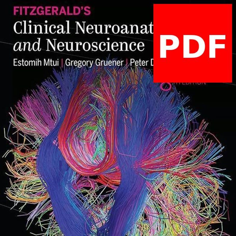 Clinical Neuroanatomy and Neuroscience 8th Edition - Etsy