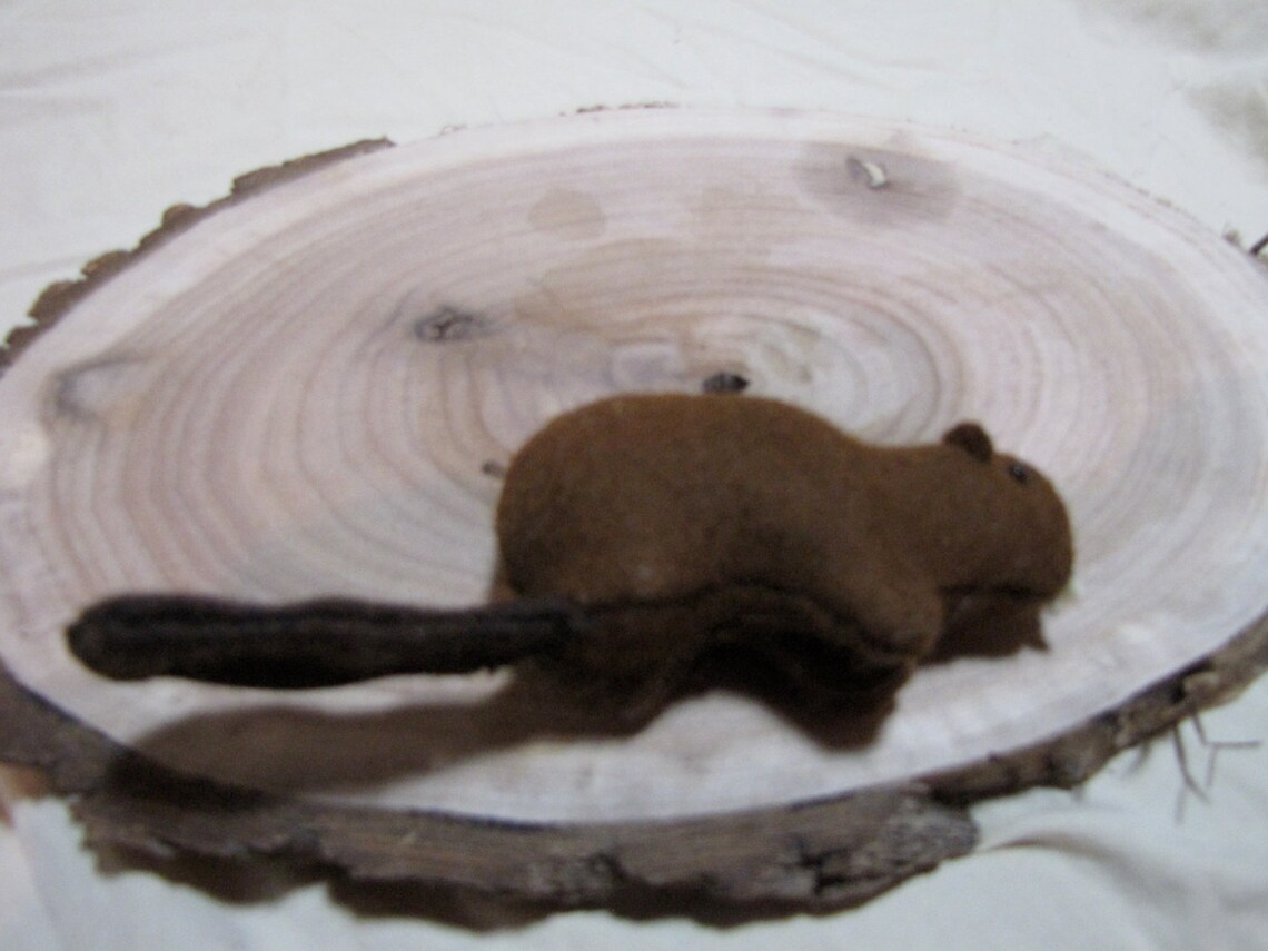Beaver Sewn Wool Felt- Ships for FREE in the US - Etsy