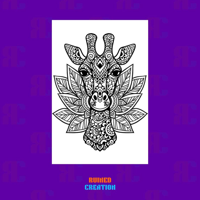 Focus Coloring Book - Etsy