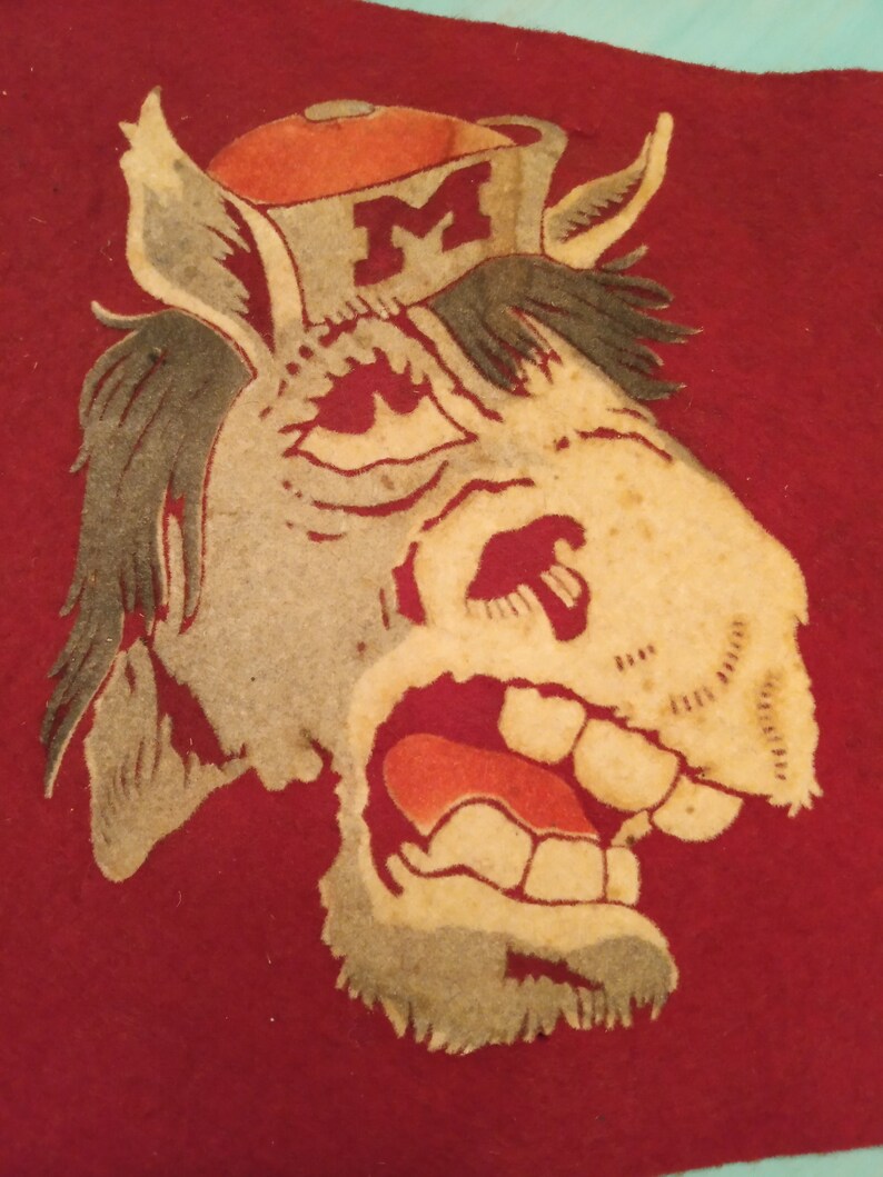 1940's MUHLENBERG COLLEGE PENNANT Rare Mascot Mule | Etsy