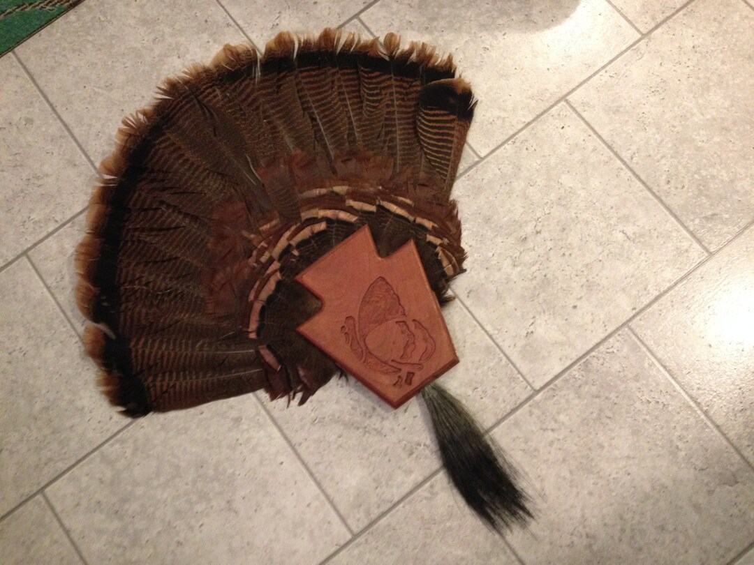 MOUNTED TURKEY FEATHER Fan, Pa Turkey Feathers,wood Mounted Turkey Fan ...