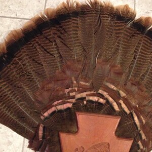 MOUNTED TURKEY FEATHER Fan, Pa Turkey Feathers,wood Mounted Turkey Fan ...