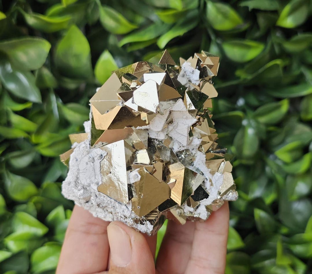 Pyrite Octahedral With White Strontian Crandallite - Etsy