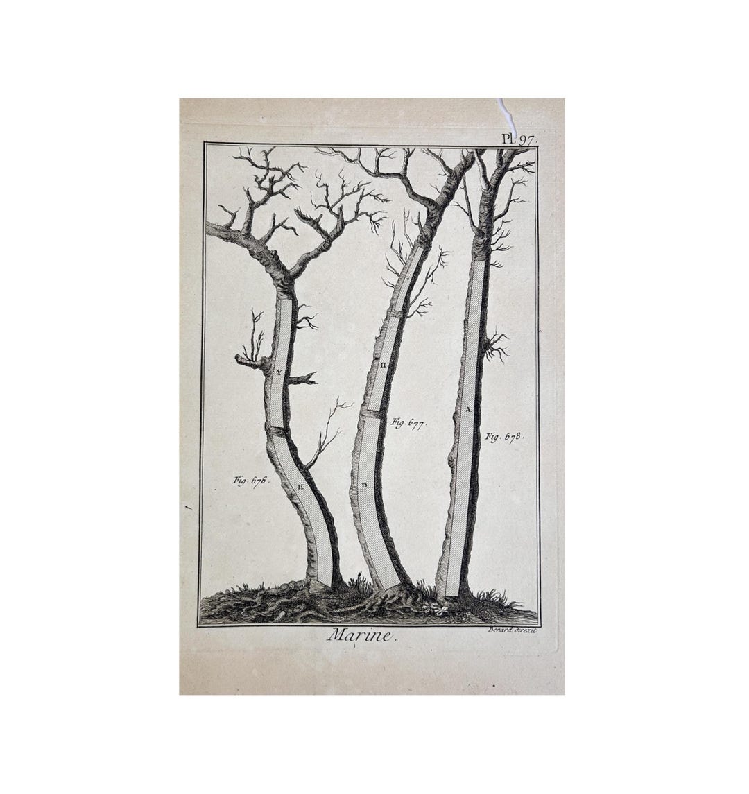 Marine. 97. Engraving by Robert Benard. Plate 97 From Encyclopédie ...