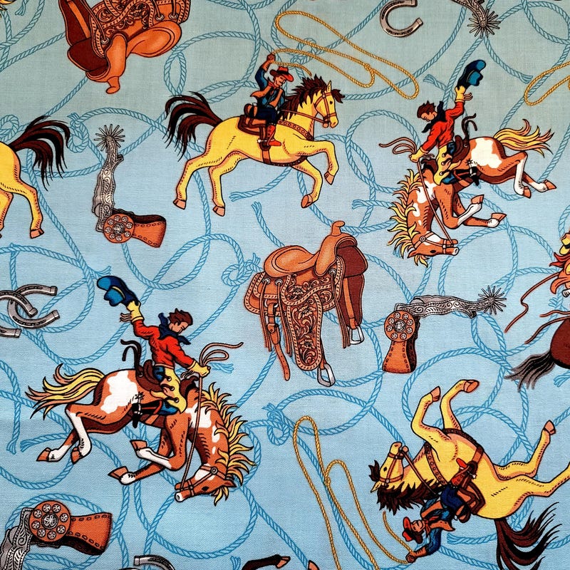 Cowboy Themed Pillows - Etsy