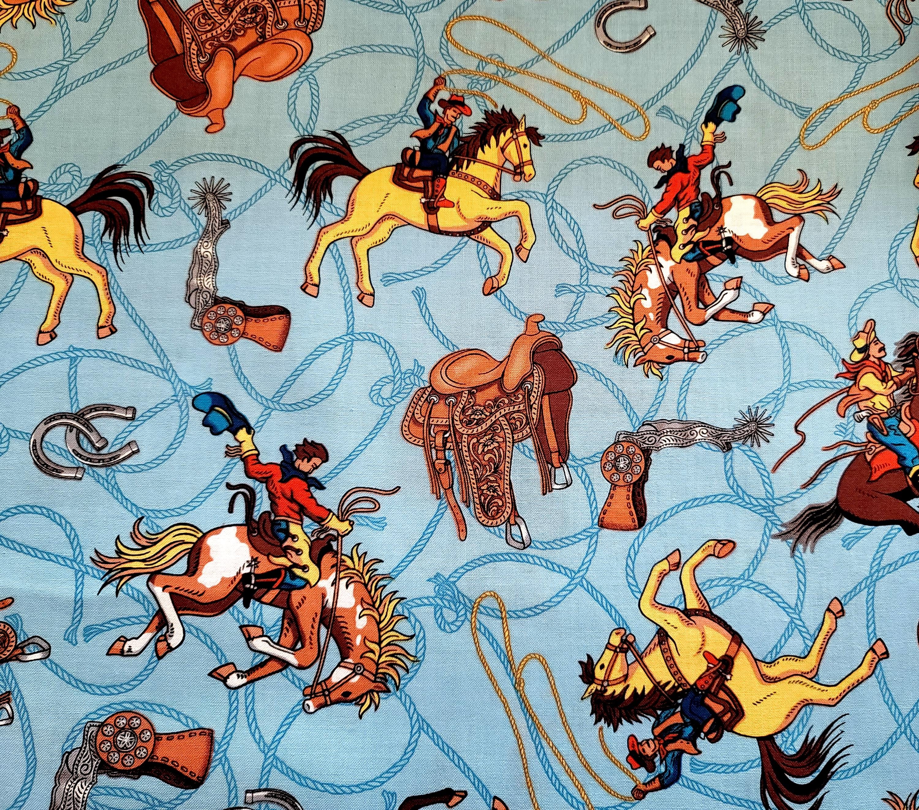Cowboy Wild West Toss Western Theme Bucking Broncos Saddle Lasso Great ...