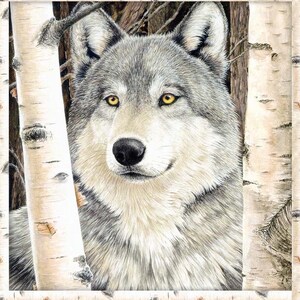 RARE! Gray Wolf Panel by Kathy Goff Wolves Roaming Wilderness Plains ...
