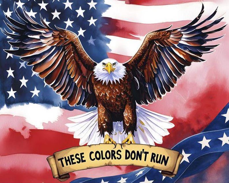 NEW! American Eagle Panel These Colors Don't Run Artwork DX-8712-5C ...