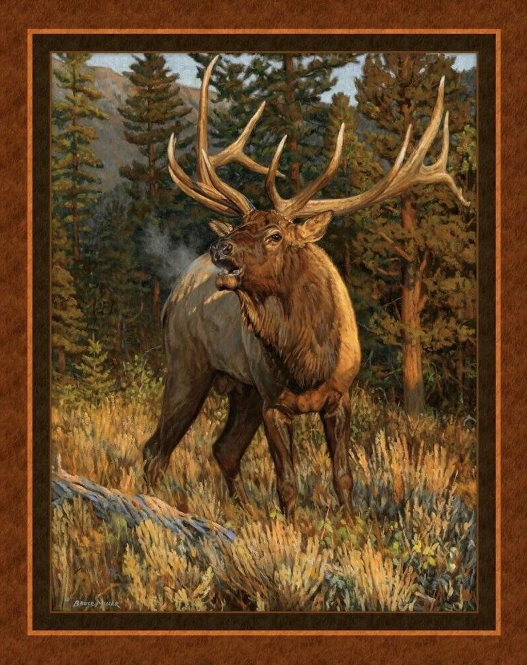 Fall Challenge Elk Bugling Bull Elk Attract Female Elk Defends ...