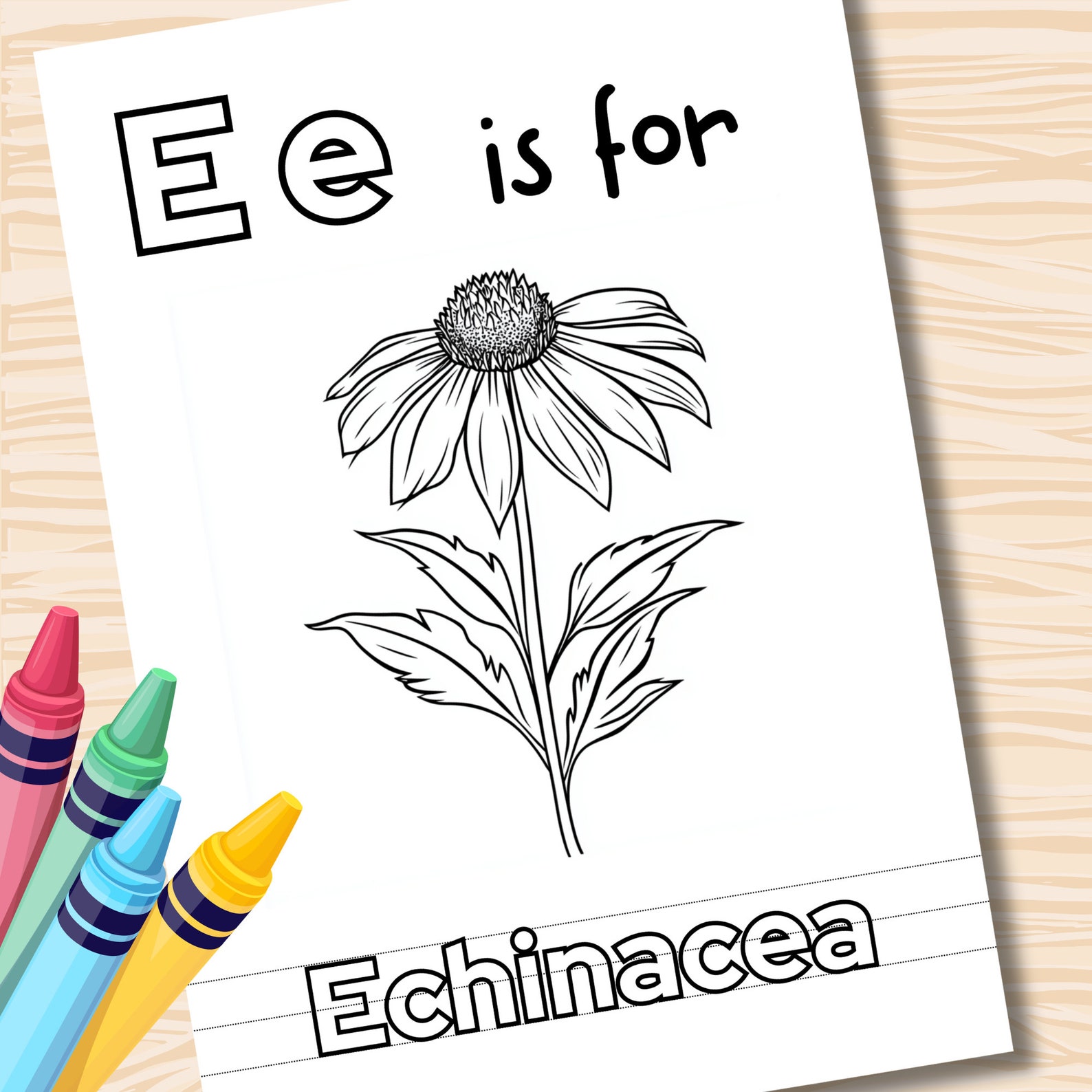 Botanical Flowers Coloring Book Flower Coloring Pages Printable Floral ...