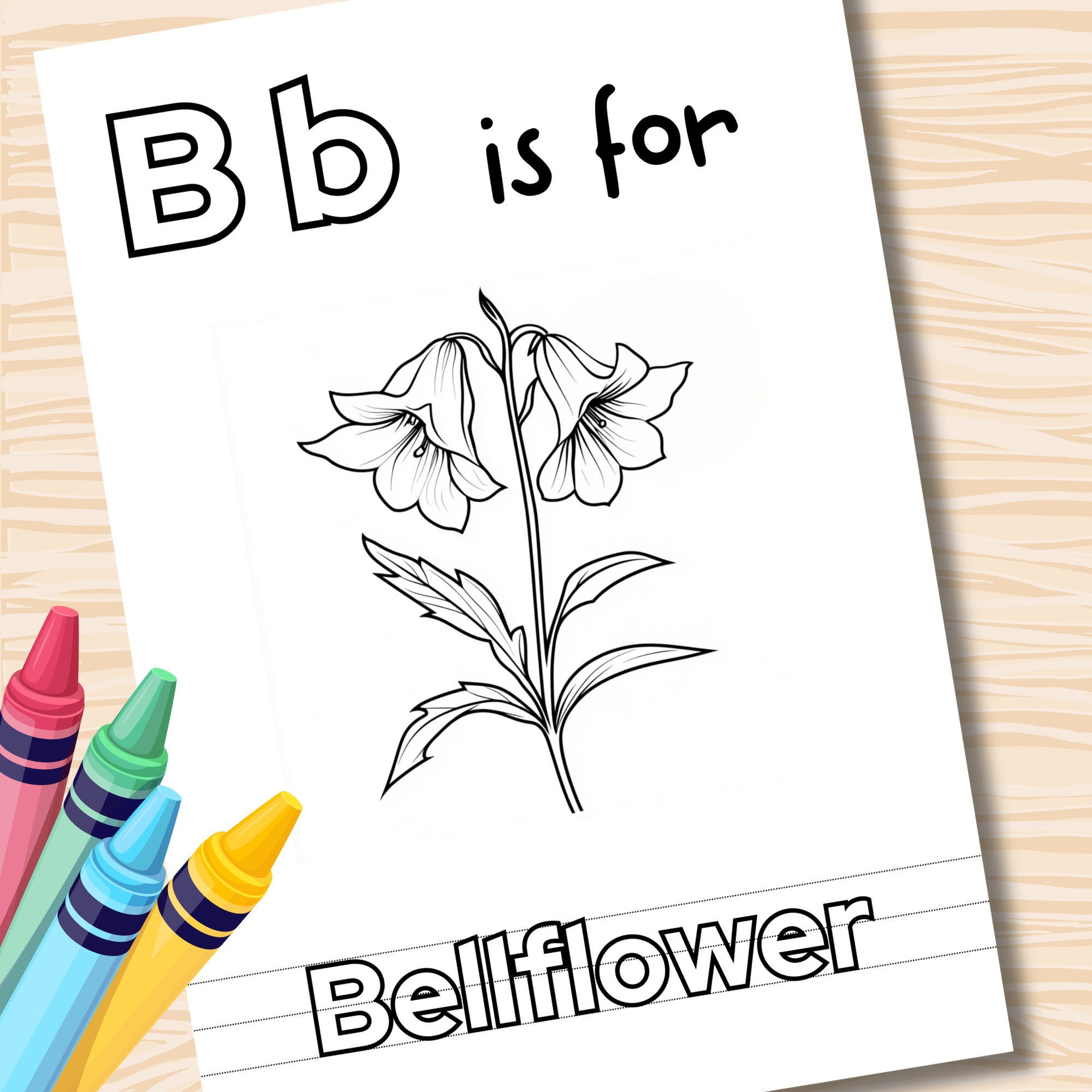 Botanical Flowers Coloring Book Flower Coloring Pages Printable Floral ...