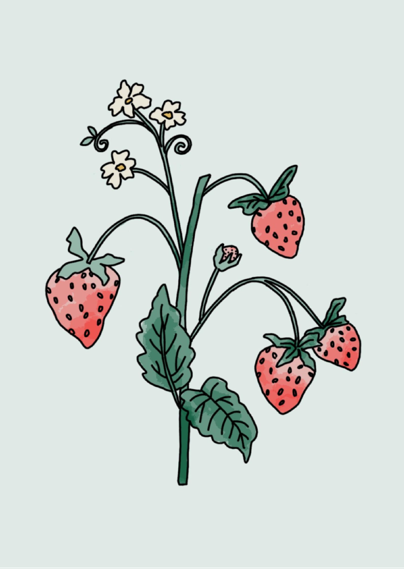 Strawberry Greeting Card Printable |hand Drawn |strawberry Shortcake ...