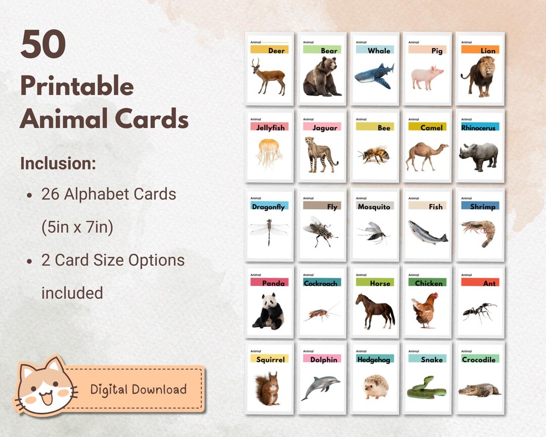 50 Animal Flashcards for Toddler Learning Educational & Digital ...