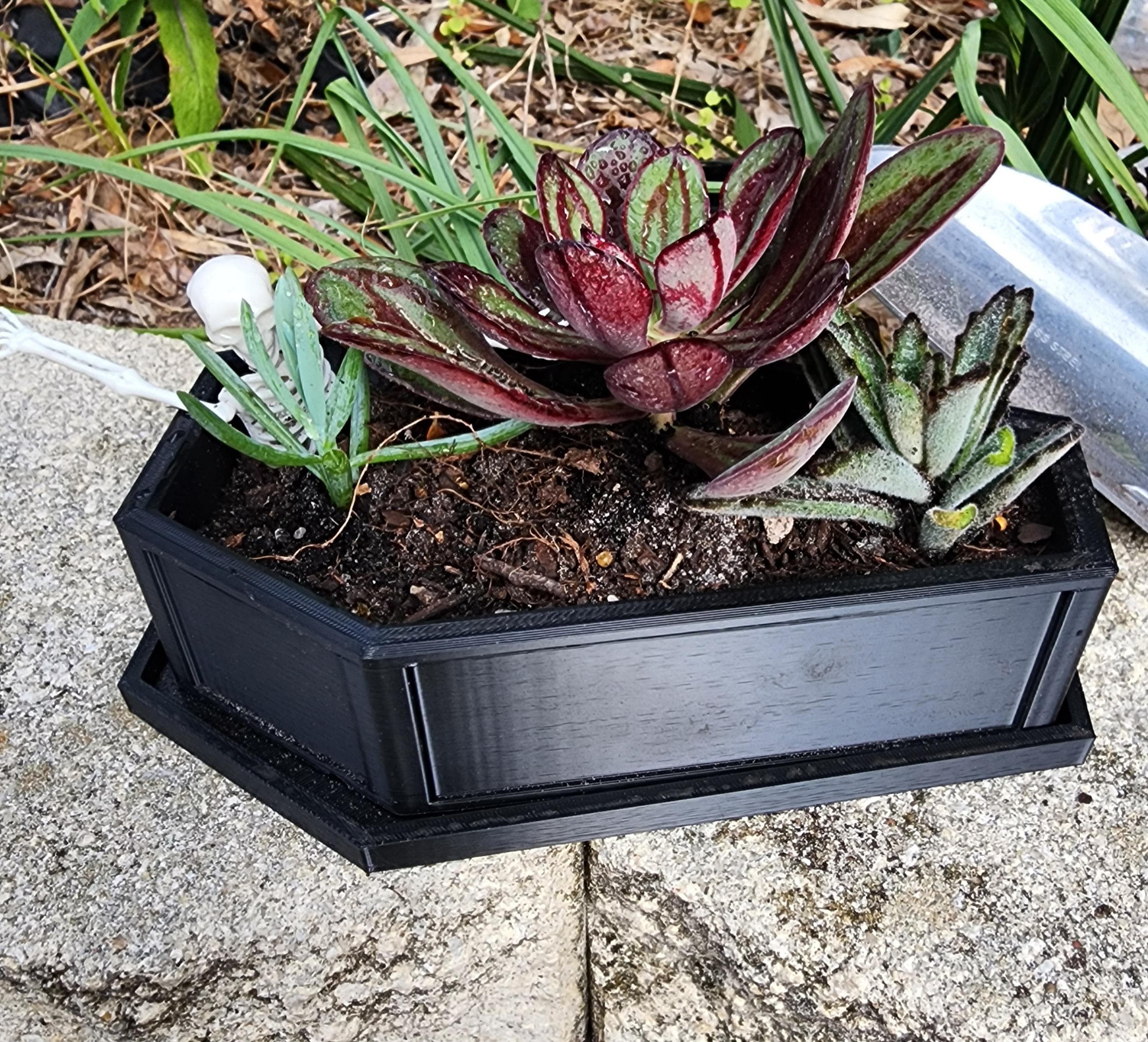3D Printed Coffin Planter With Skeleton: Goth Halloween Decor - Etsy