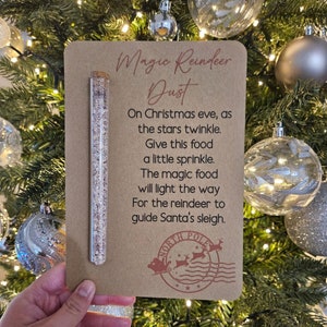 Magic Reindeer Dust - Etsy