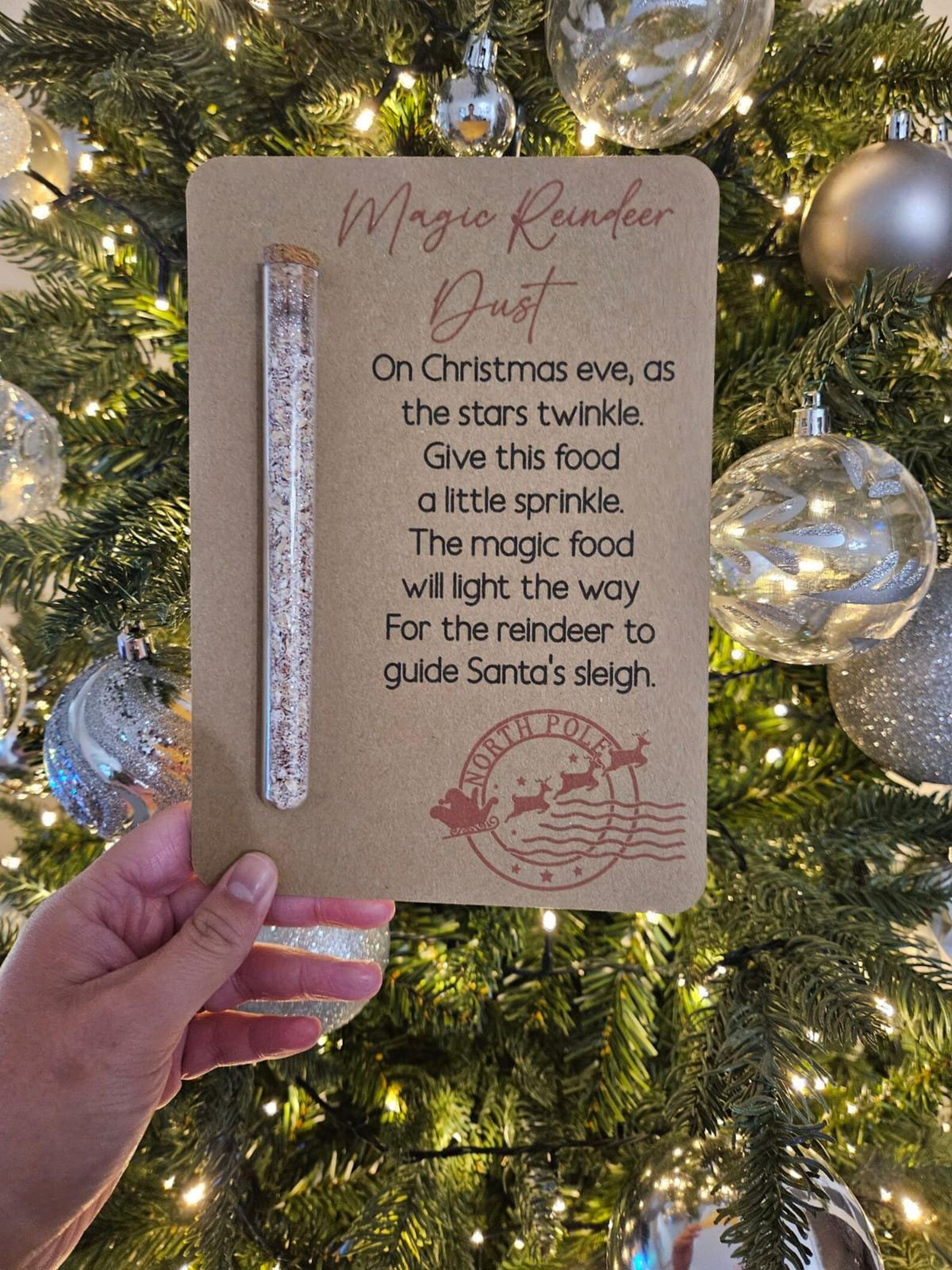 Magic Reindeer Dust - Etsy