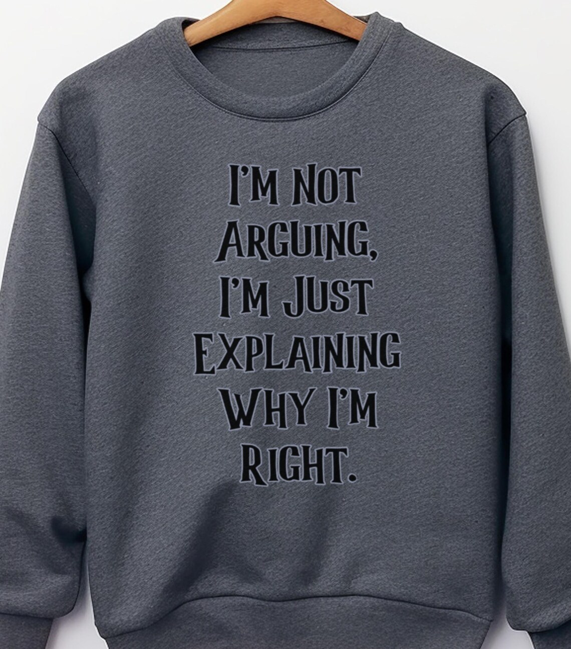 I'm Not Arguing Sweatshirt, Just Explaining My Point Sweatshirt, Funny ...
