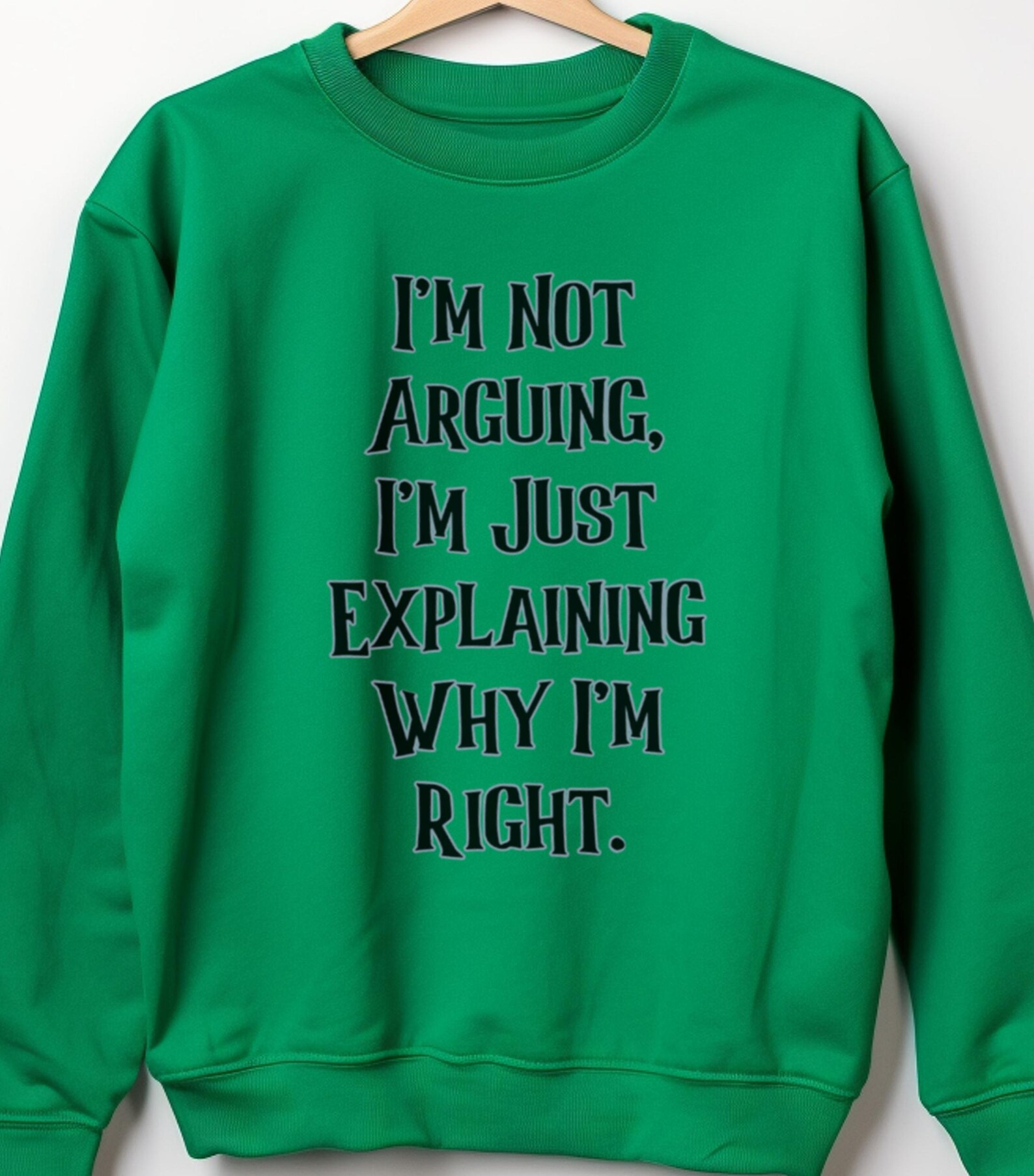 I'm Not Arguing Sweatshirt, Just Explaining My Point Sweatshirt, Funny ...