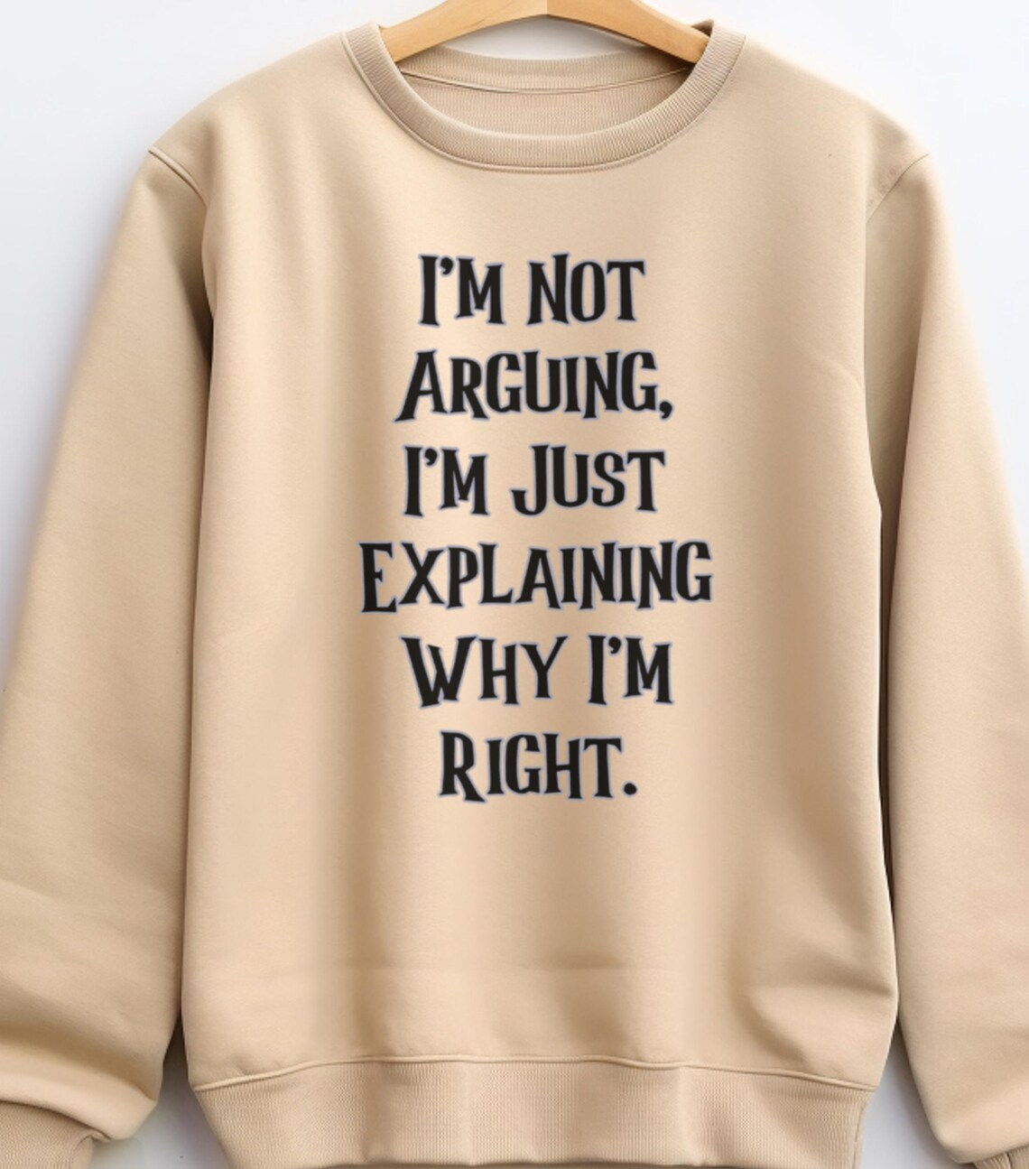 I'm Not Arguing Sweatshirt, Just Explaining My Point Sweatshirt, Funny ...