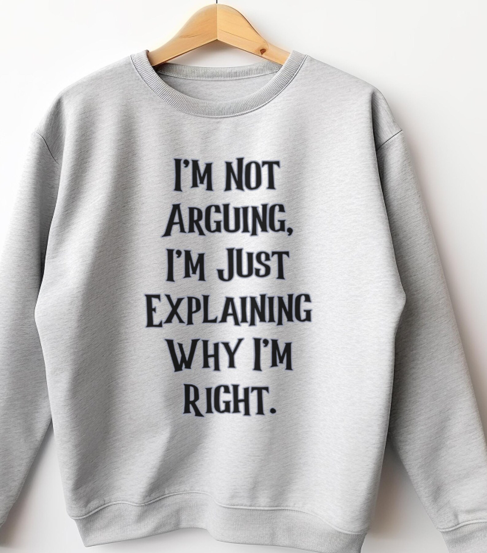 I'm Not Arguing Sweatshirt, Just Explaining My Point Sweatshirt, Funny ...
