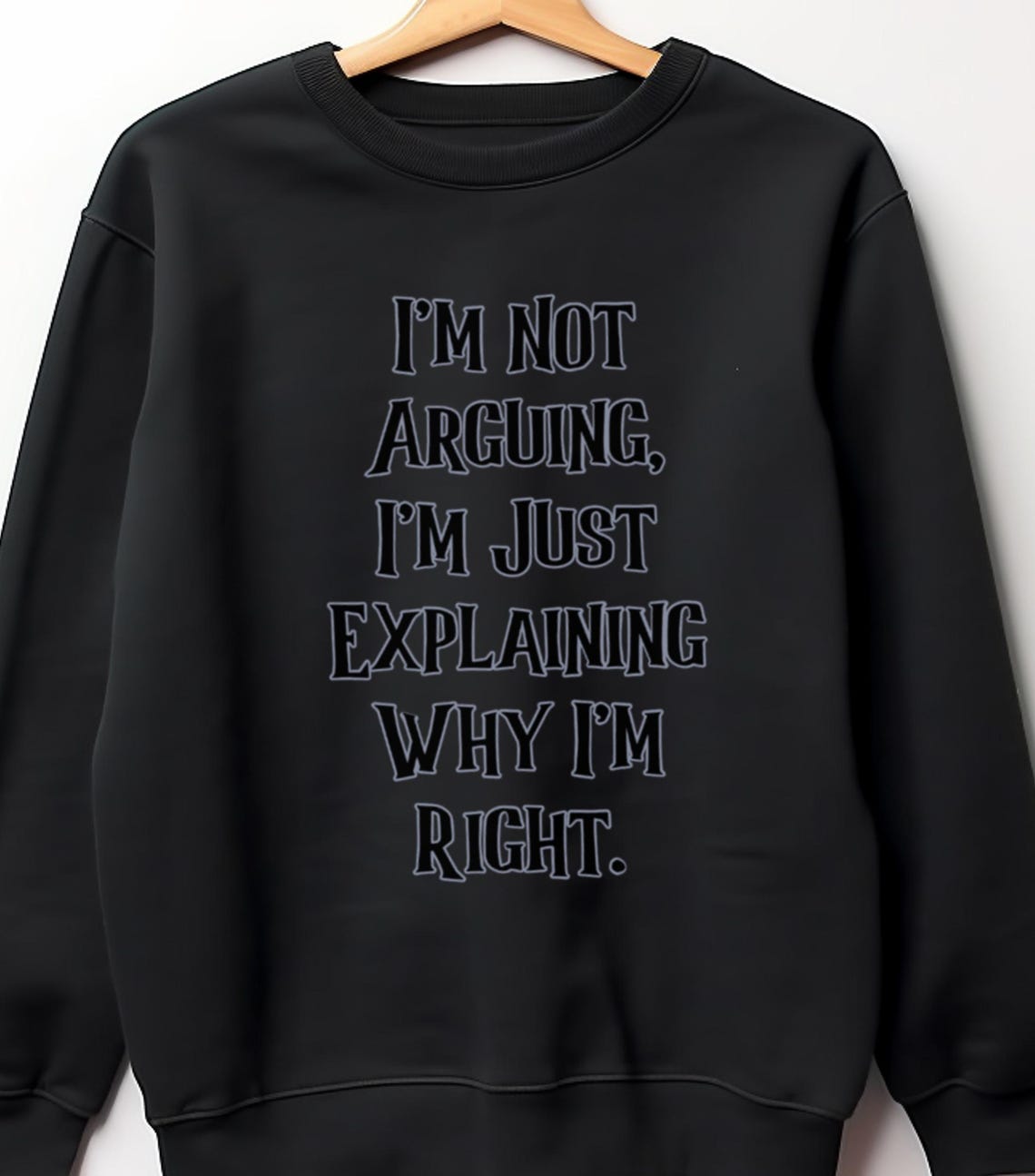 I'm Not Arguing Sweatshirt, Just Explaining My Point Sweatshirt, Funny ...