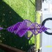 Purple Spinner - Etsy